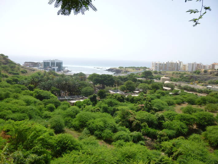 Green Cities In Africa: Top 6 Cities Leading The Way on The Continent